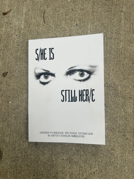 S/he is Still Her/e: The Final Interview by David Charles Rodrigues ...